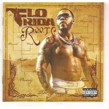 Ranking All 4 Flo Rida Albums, Best To Worst