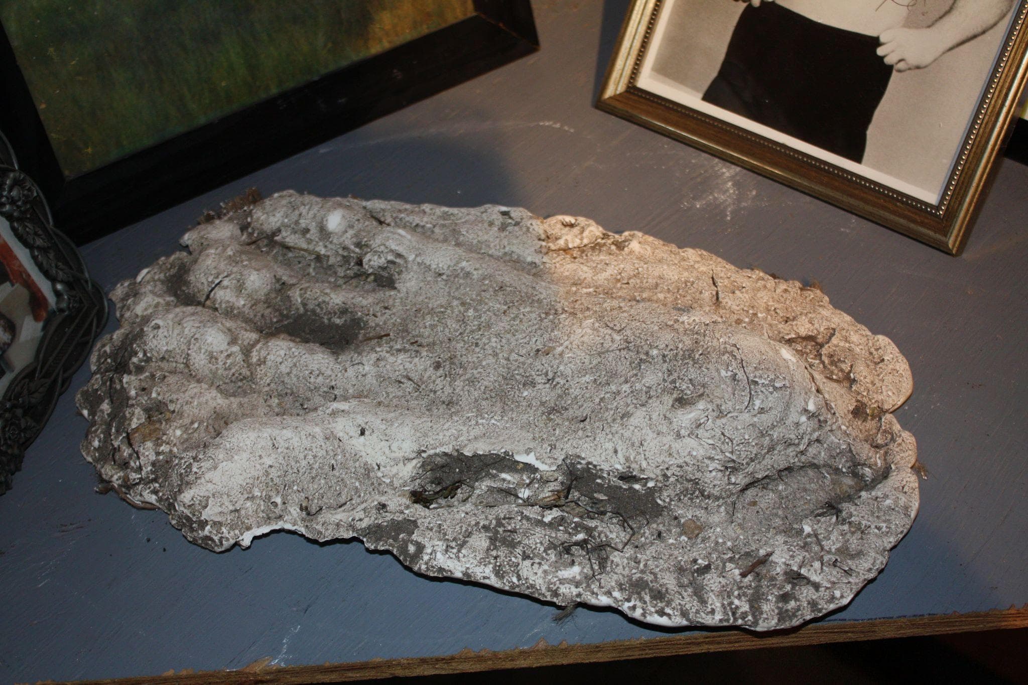 The Skunk Ape May Be Terrorizing The Florida Everglades