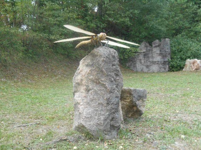 Meet Meganeura, The Prehistoric Mega-Dragonfly