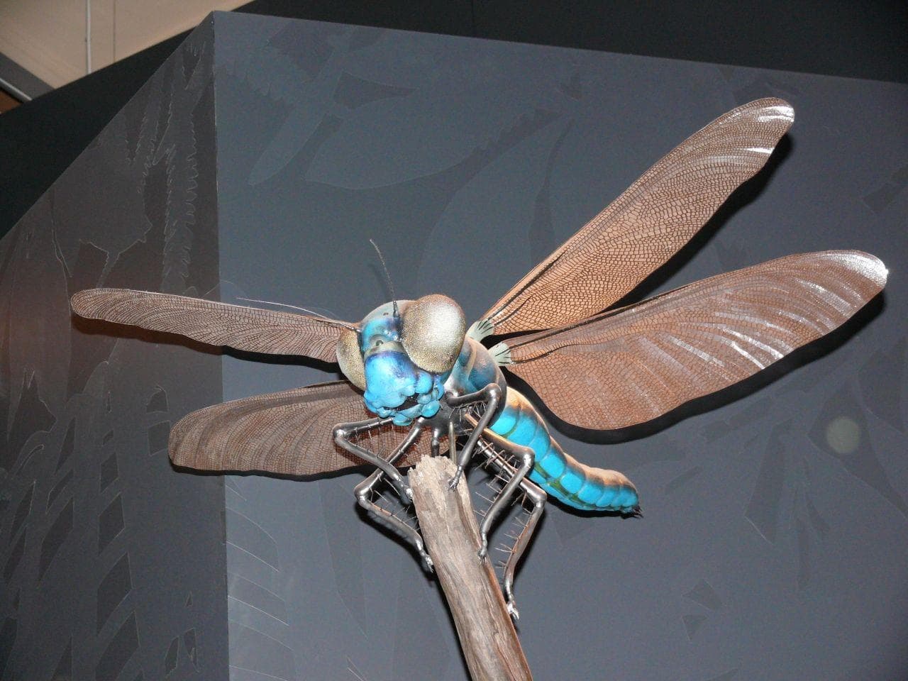 Meet Meganeura, The Prehistoric Mega-Dragonfly