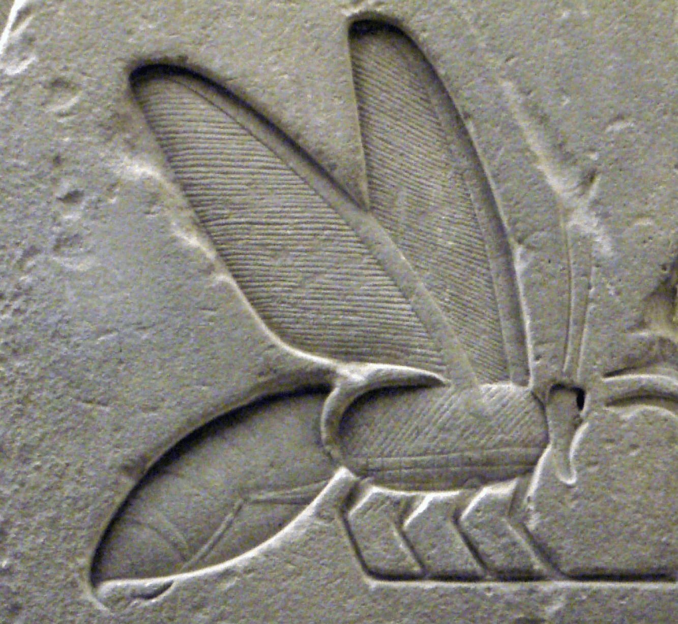 Surprising Foods In Ancient Egypt