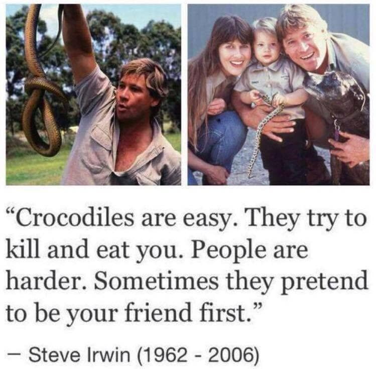 Wholesome Steve Irwin Memes That Prove He Was Too Good For This World