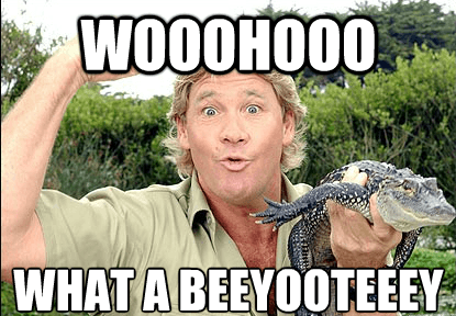 Wholesome Steve Irwin Memes That Prove He Was Too Good For This World