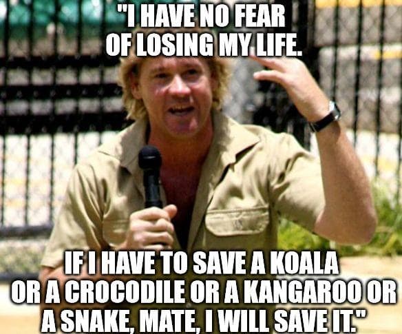 Wholesome Steve Irwin Memes That Prove He Was Too Good For This World