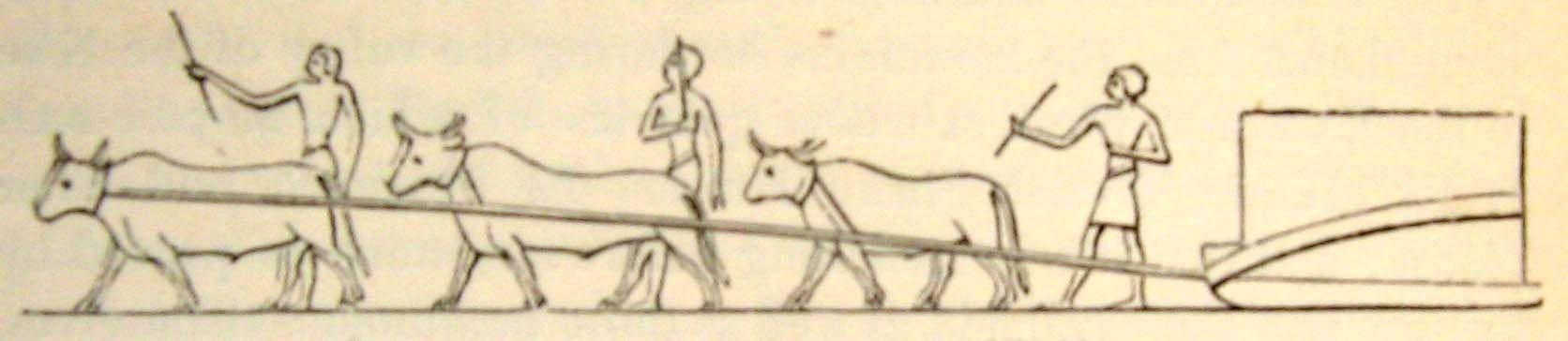 How Were Pyramid Blocks Lifted & Moved By Ancient Egyptians?