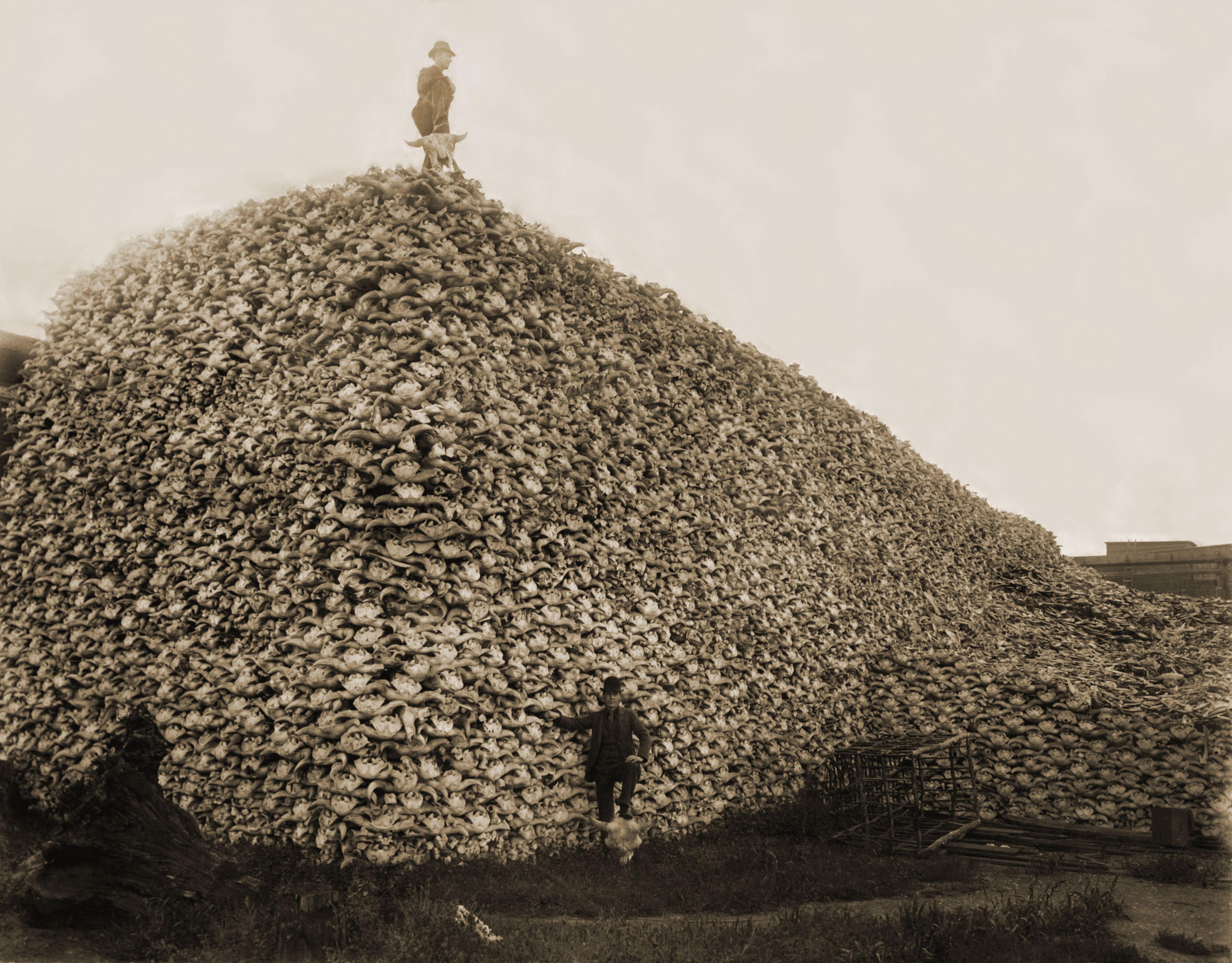 15 Creepy Old West Photos That Show the Dark Side of Cowboys