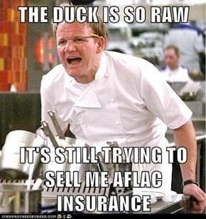 23 Funniest Gordon Ramsay Memes