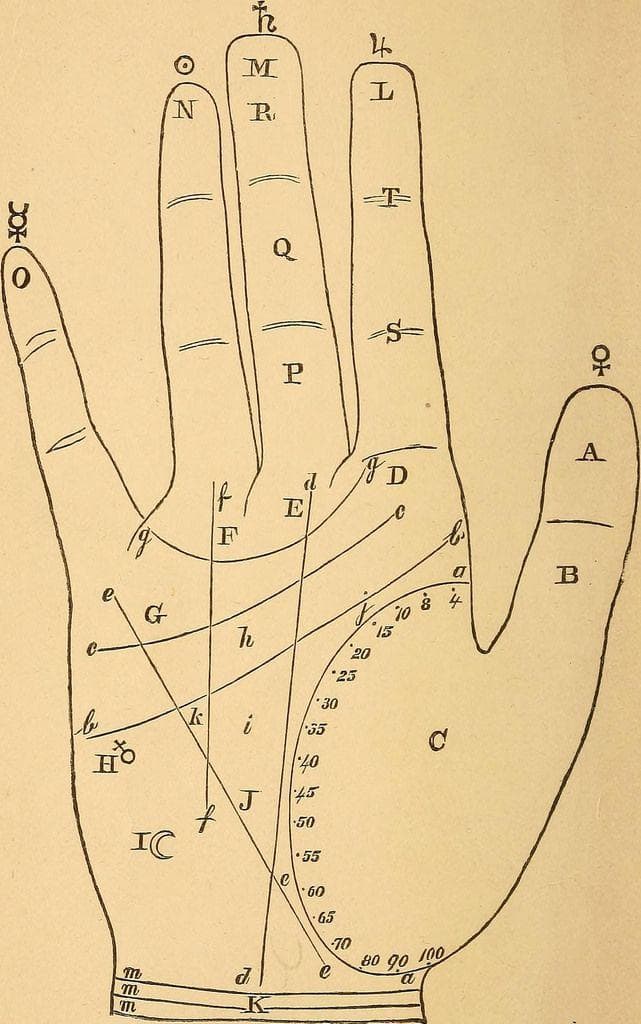 How To Read Palms: A Guide To The Lines On Your Hand