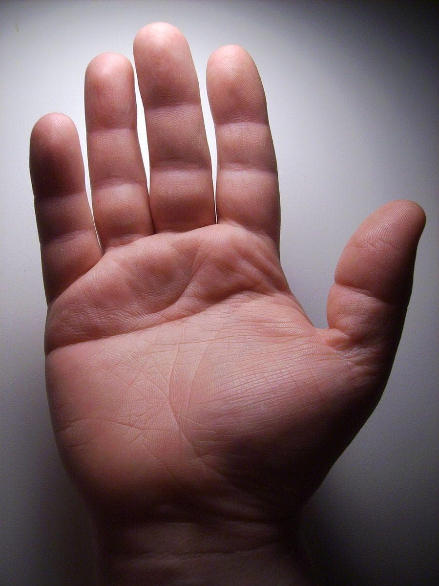How To Read Palms: A Guide To The Lines On Your Hand