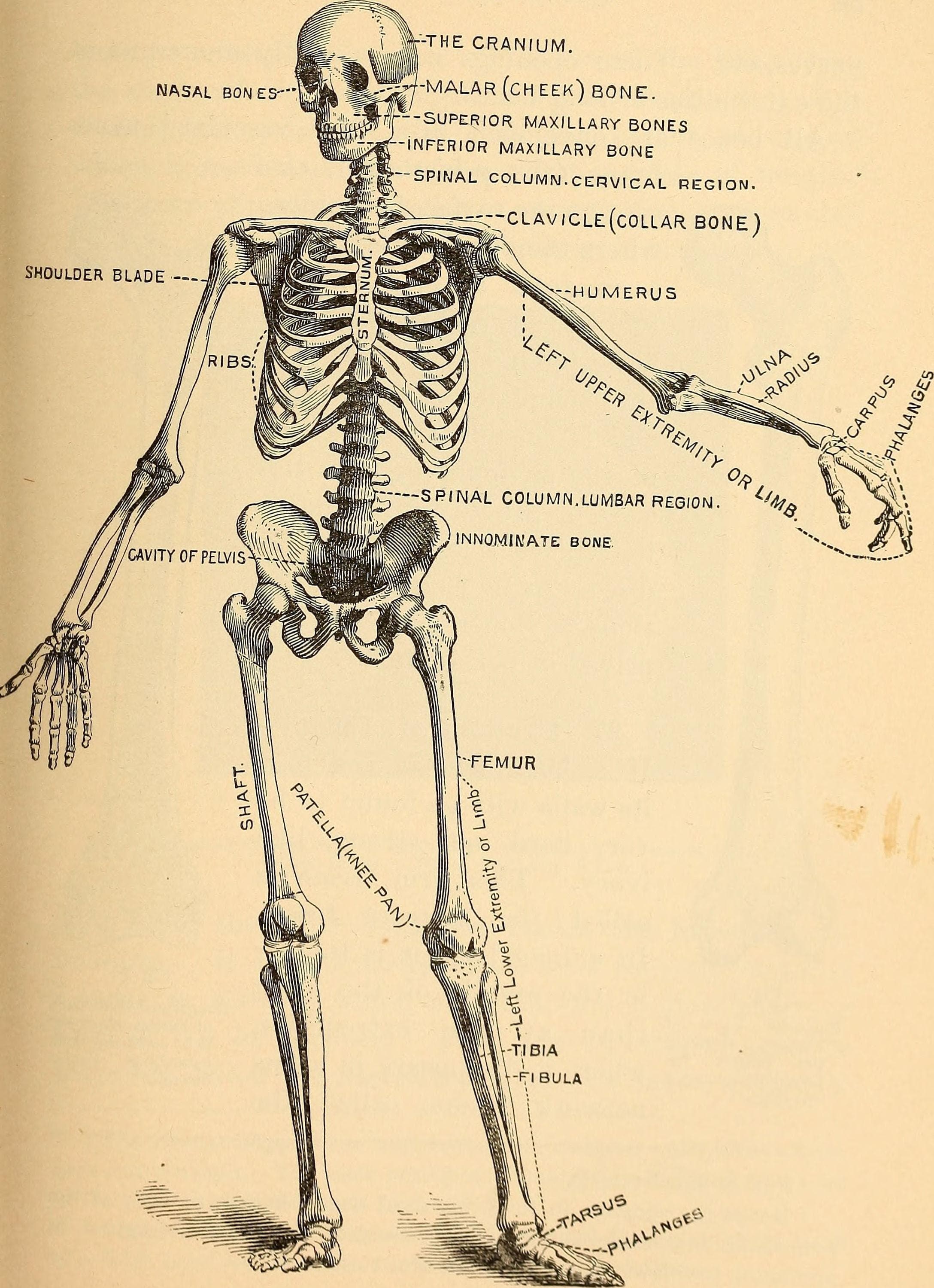 Inside The HH Holmes Origin Story: How He Went From Childhood To Murder ...