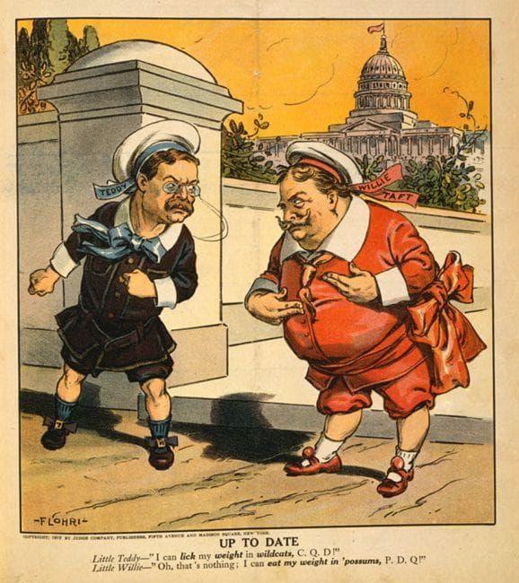 How President Taft Tried To Make America Forget Teddy Roosevelt's Teddy ...