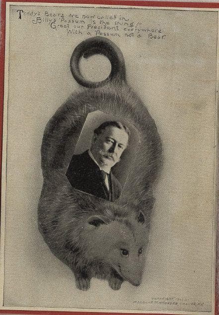 How President Taft Tried To Make America Forget Teddy Roosevelt's Teddy ...