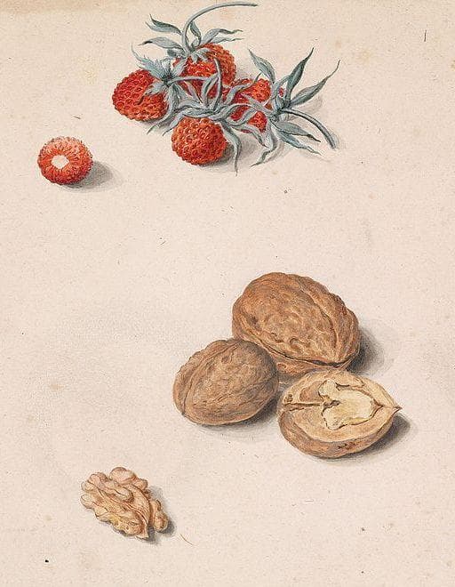 What Did George Washington Eat When He Was President?