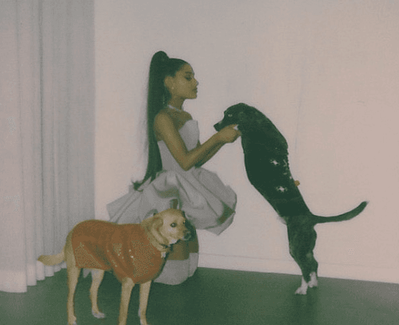 All Of Ariana Grande's Dogs Plus Another Adorable Pet