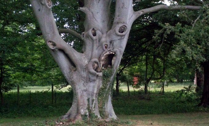 The Scariest Pareidolia Photos From The Internet