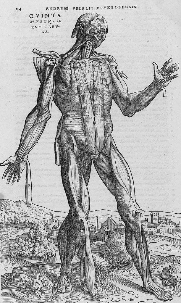 Old Medical Illustrations That Are Morbidly Fascinating