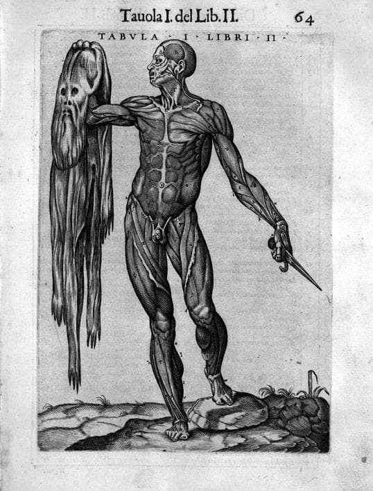 Old Medical Illustrations That Are Morbidly Fascinating