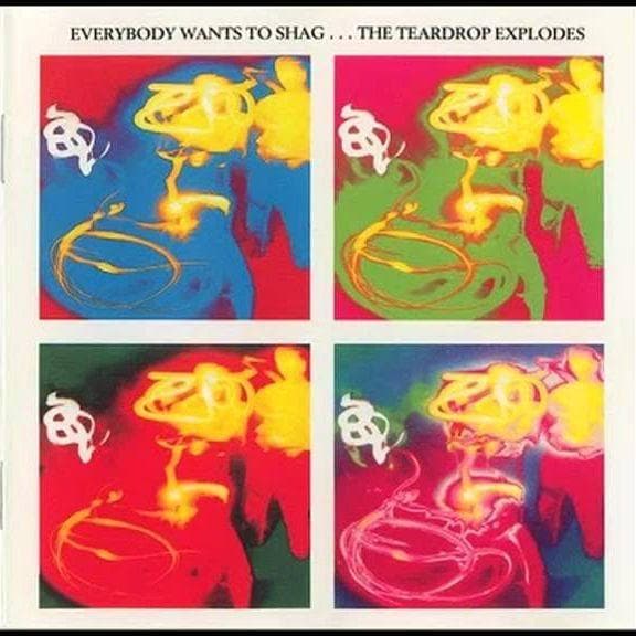 Ranking All 3 The Teardrop Explodes Albums, Best To Worst