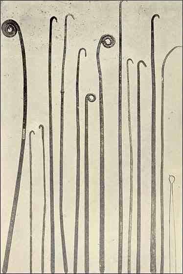 A Day In The Life Of An Egyptian Embalmer