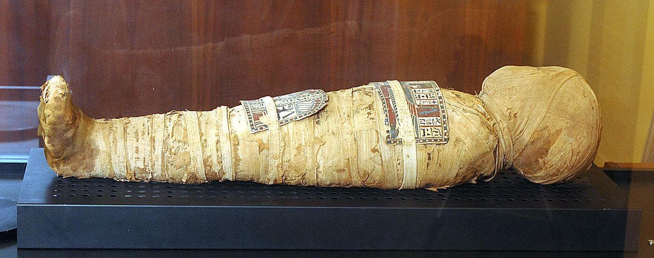 A Day In The Life Of An Egyptian Embalmer