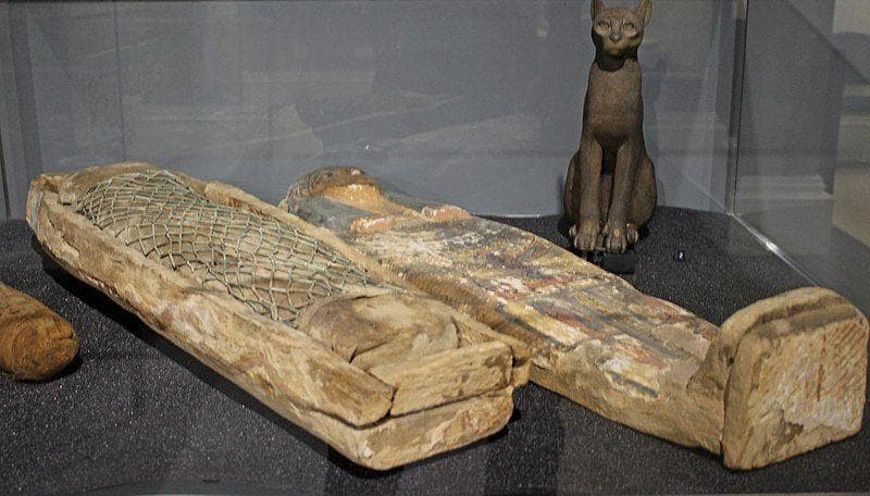The History Of Taxidermy: Mummification Is The Basis Of It All