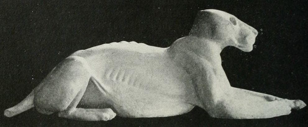 The History Of Taxidermy: Mummification Is The Basis Of It All