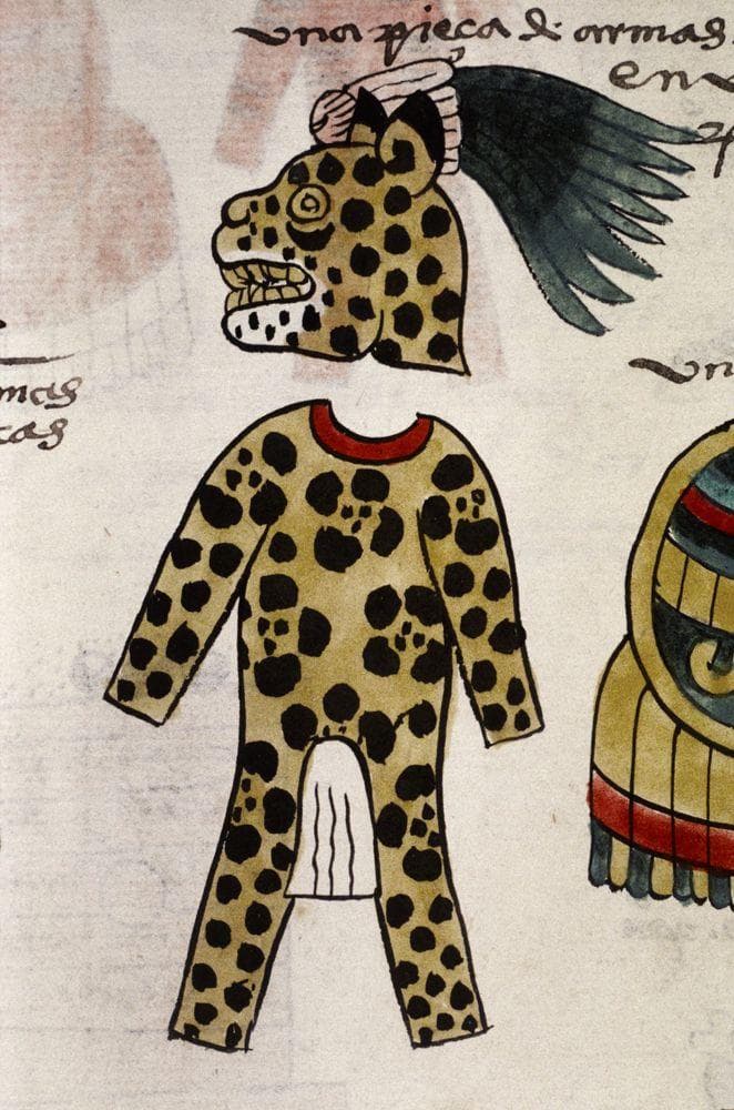 All The Offerings To Emperor Ahuitzotl In The Templo Mayor Tomb