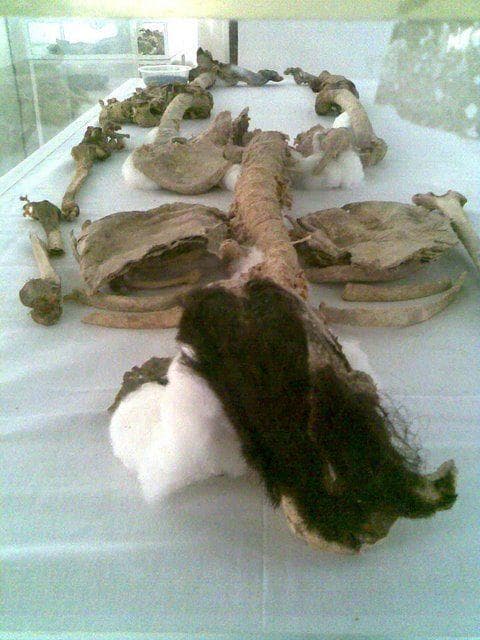 The Iranian Salt Men Mummies Offer Archeological Revelations