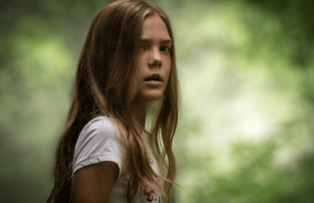 'Pet Sematary' Movie vs. Book: All The Differences