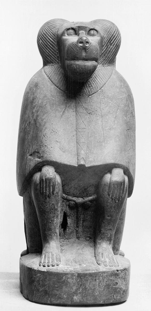 Ancient Mummified Animals: All About Animal Mummies