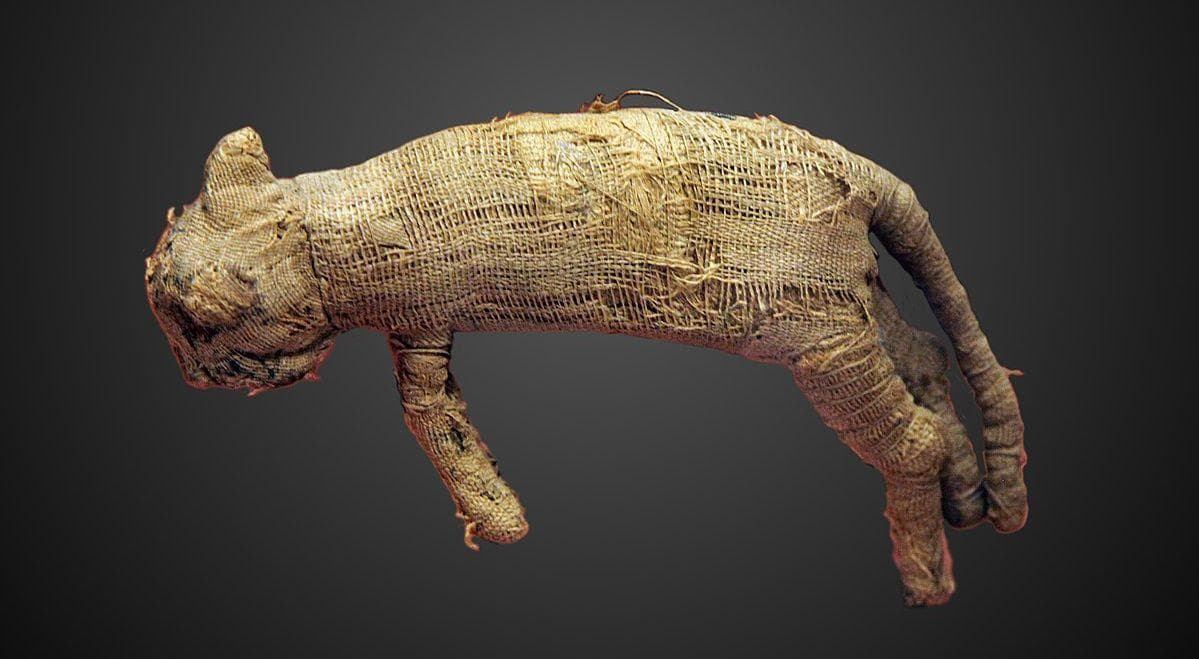 Ancient Mummified Animals: All About Animal Mummies
