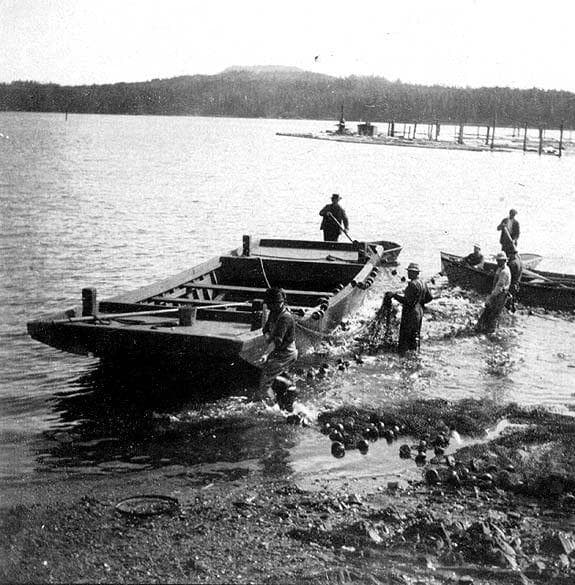 Tent Girl Explained: A Timeline Of The Unidentified Body Case