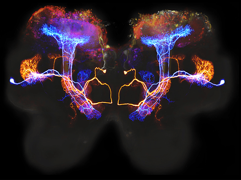 Recent Scientific Breakthroughs & 2019 Science News