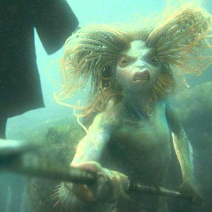 'Harry Potter' Creatures List: All The Beasts In The Potter Universe