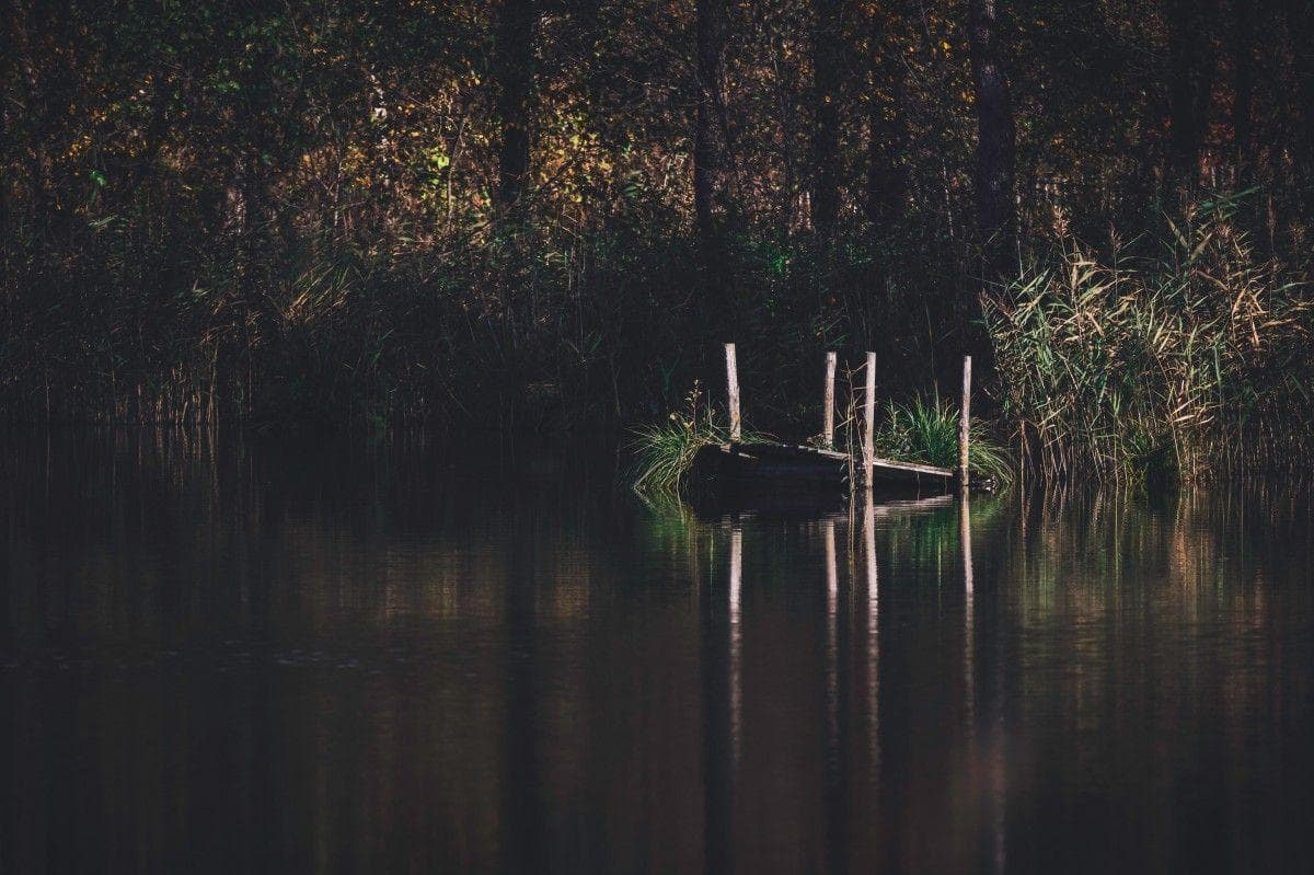 Creepy Legends From The Swamps Of Louisiana