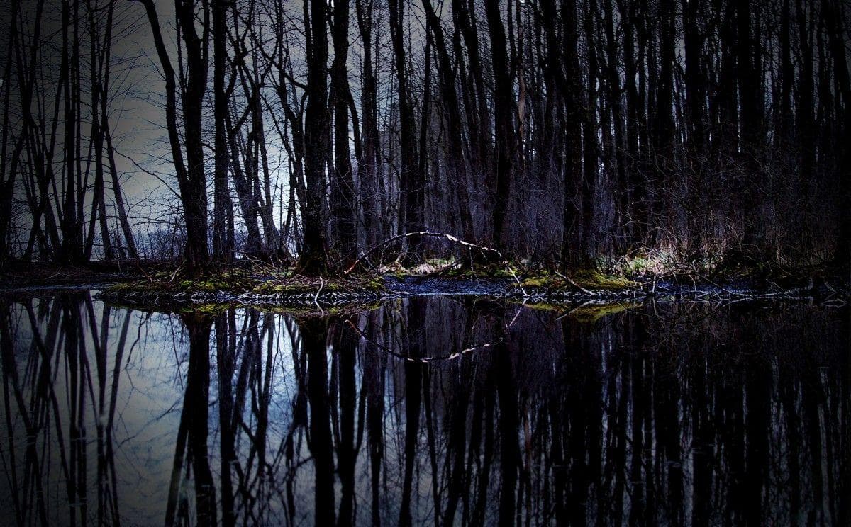 Creepy Legends From The Swamps Of Louisiana