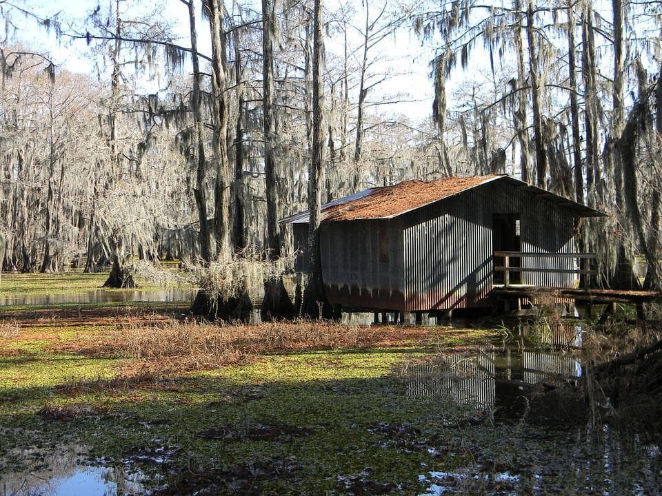 Creepy Legends From The Swamps Of Louisiana