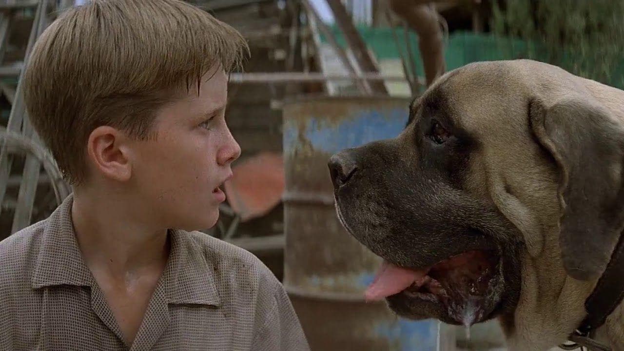 The Sandlot Behind The Scenes Stories Are As Nostalgically Wholesome As ...