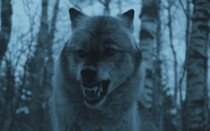 Who Are The Dead Starks In Winterfell's Crypt?