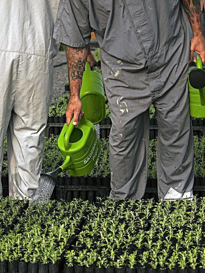 Prison Inmates Jobs: All The Different Work Programs In Jail