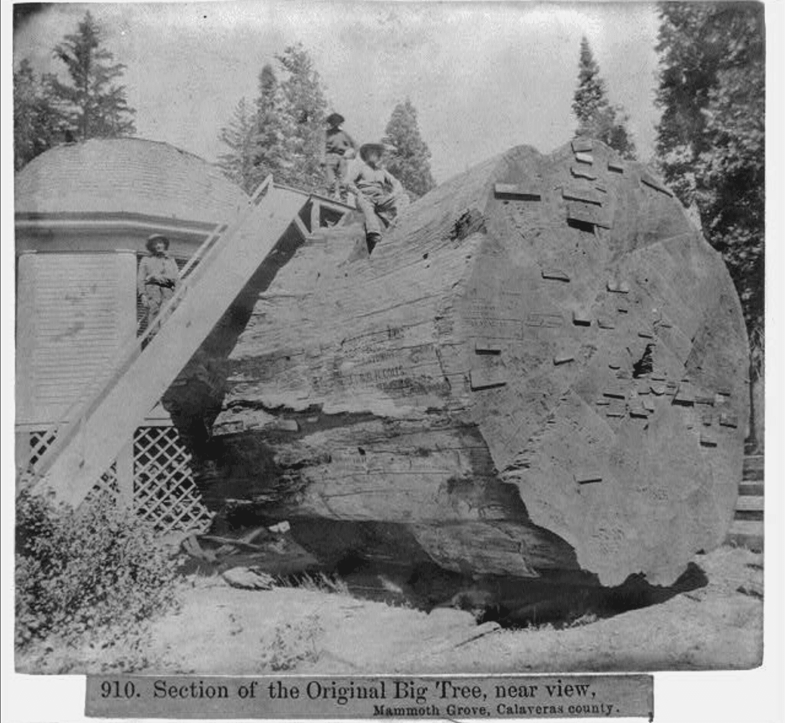 17 Unsettling Gold Rush Pictures