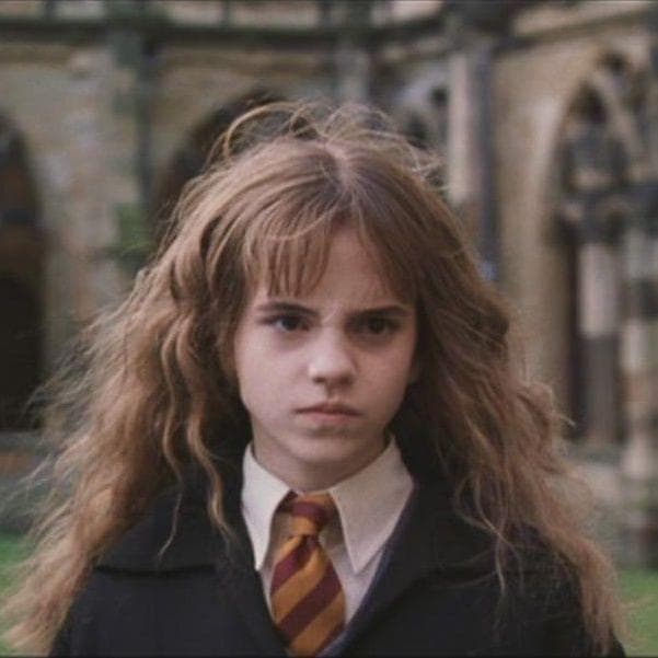 The 20 Best Hermione Granger Quotes, Ranked By Potterheads