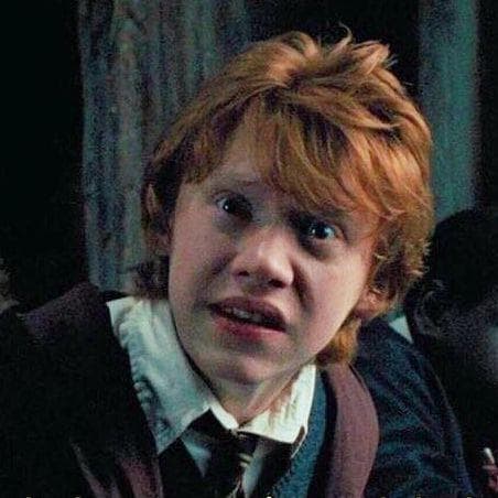 The 23 Best Ron Weasley Quotes, Ranked By Potterheads