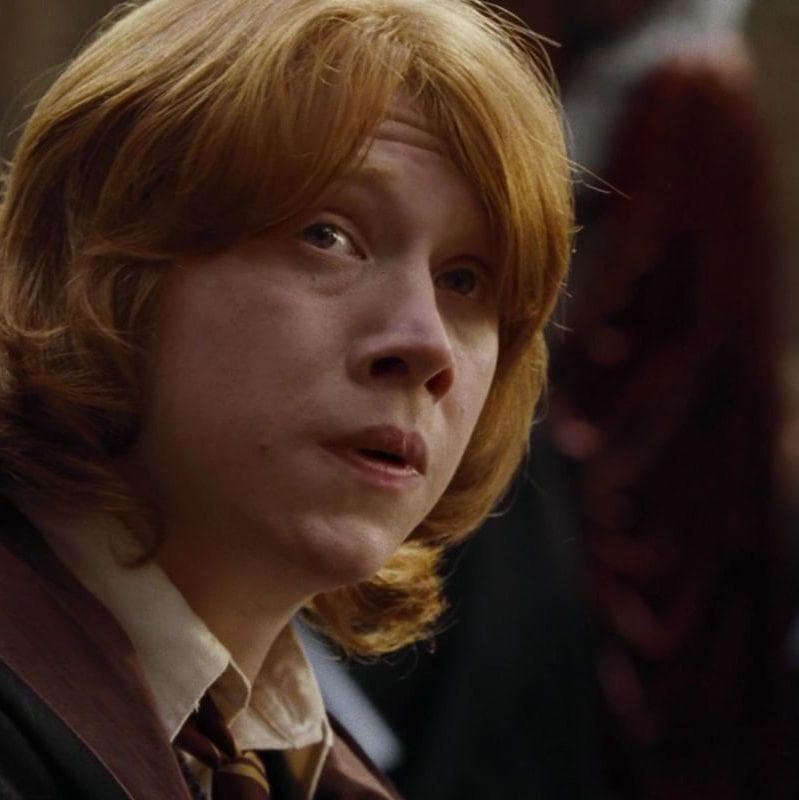 The 23 Best Ron Weasley Quotes, Ranked By Potterheads