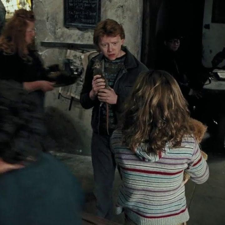The 23 Best Ron Weasley Quotes, Ranked By Potterheads