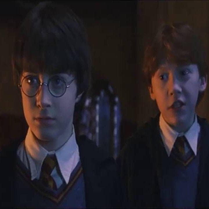 The 23 Best Ron Weasley Quotes, Ranked By Potterheads