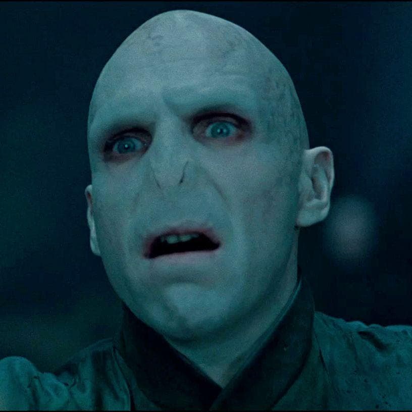 The 20 Best Voldemort Quotes, Ranked By Potterheads