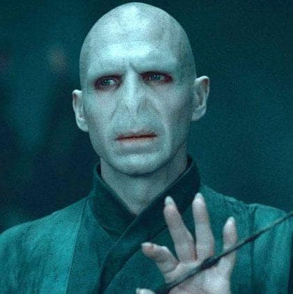 The 20 Best Voldemort Quotes, Ranked By Potterheads