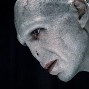 The 20 Best Voldemort Quotes, Ranked By Potterheads
