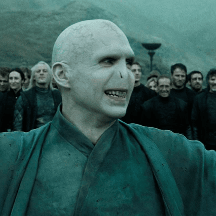 The 20 Best Voldemort Quotes, Ranked By Potterheads